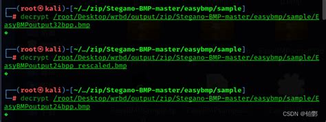 【ctf题目】01巍然不动 Misc 隐写ctf Pdf隐写用什么解 Csdn博客