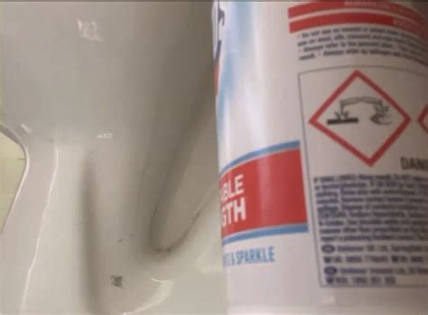 Girl Has Urgent Plops In Toilet