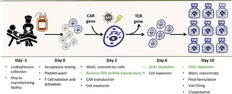 Figure 3 From Off The Shelf T Cell Therapies For Hematologic