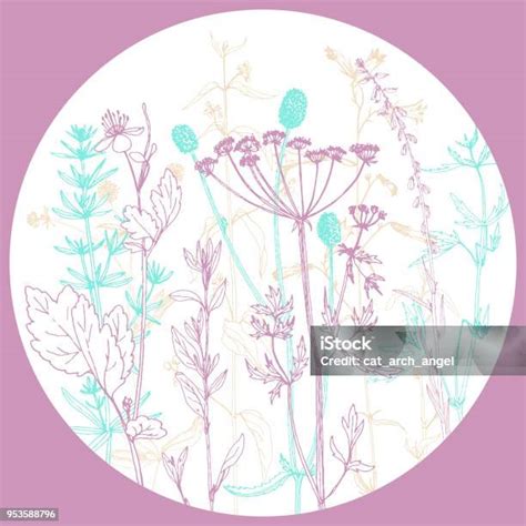 畫草本和花的圓的範本向量圖形及更多事件圖片 事件 俄羅斯 單線 Istock