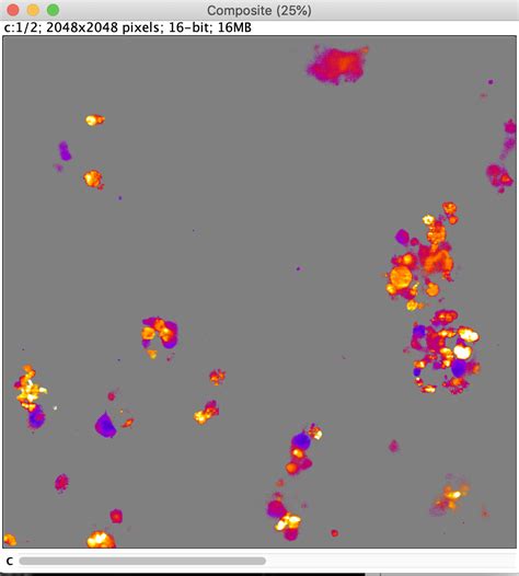 Imagej Apply One Image As Mask On Another Image Analysis Image Sc Forum