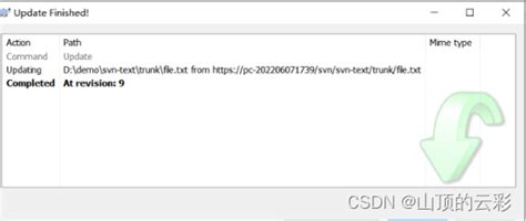 svn下载安装与使用教程 方法 svn官网下载教程 csdn博客