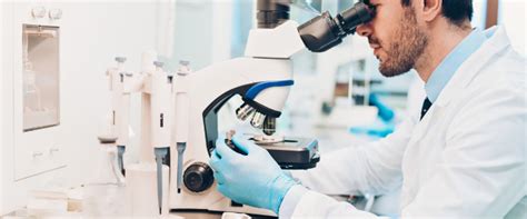 Los seguros médicos cubren la reproducción asistida Blog de Doctor i