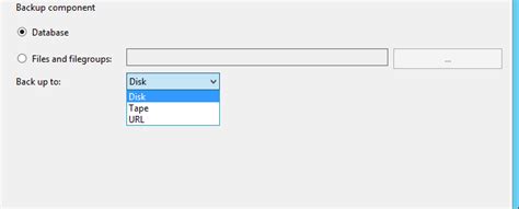 [windows] backup ms sql using ssms and copy to gcs automatically