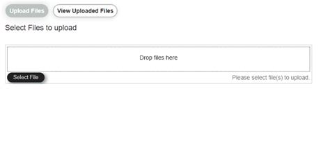 How To Use Aspnet Code Behind To Launch Fileupload Microsoft Qanda