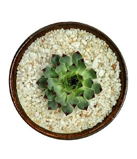 R How Can I Create New Columns Based On The Numeric Value Of Another