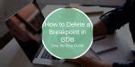 How To Delete A Breakpoint In GDB A Step By Step Guide NavThemes