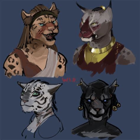 The Khajiit Tumblr
