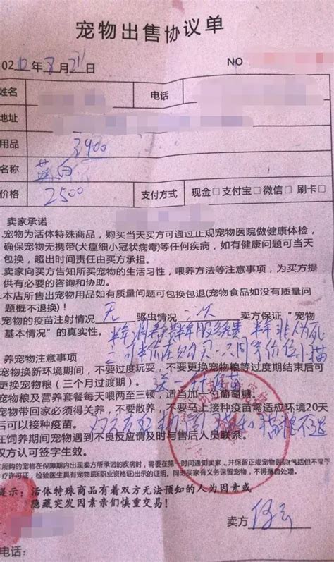 差评沪上这家宠物店让一大波人真的怒了 360娱乐你开心就好