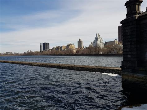 Dermatomyositis And Polymyositis Diagnosis