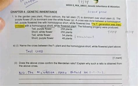 T P P WEEK 9PKASB015Genetic Inheritance StudyX