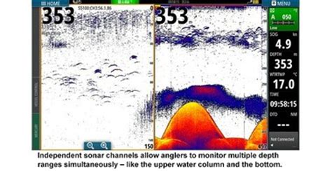 Buy Simrad S5100 Sonar Module Blue Bottle Marine