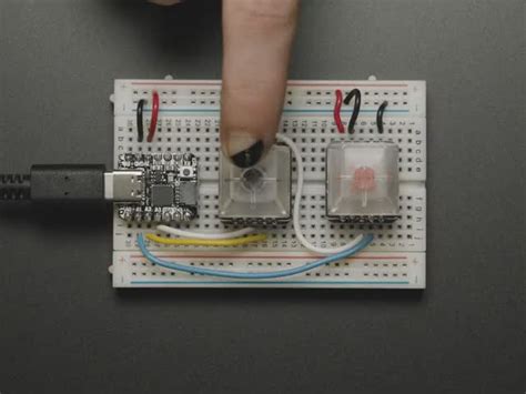 Installing Blinka On Raspberry Pi Portable Macrodata Refinement