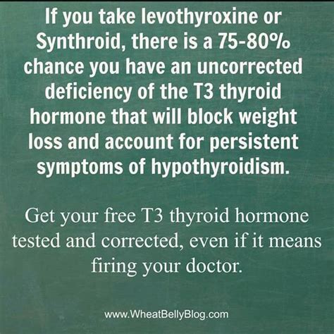 Best 13 Armour Thyroid 10 Things You Should Know Before Using It Artofit