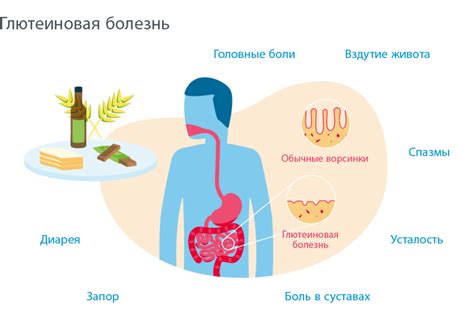 Что такое глютен: его польза и вред для организма человека