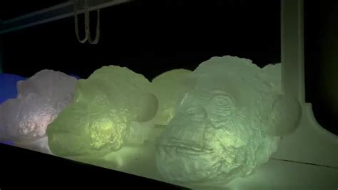 Making Chimp Heads Album On Imgur