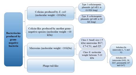 Overview Of Colicins And Microcins Encyclopedia Mdpi