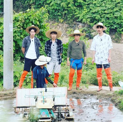 삼시세끼 4인방 본격 모내기 나PD와 전쟁 시작 기대감 전자신문