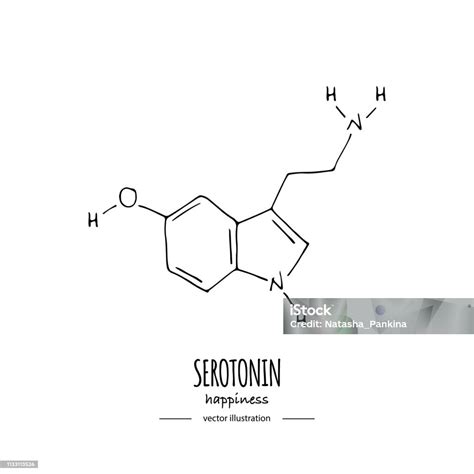 手繪塗鴉血清素化學式圖示向量例證動畫片分子素描幸福標誌分子結構結構科學激素慣例查出在白色背景向量圖形及更多分子圖片 分子 分子結構