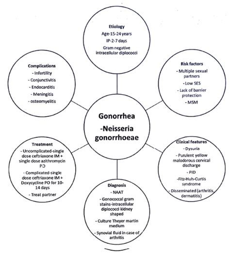 Leucorrhea And Stds Medical Science Optional Notes For Upsc Pdf Download