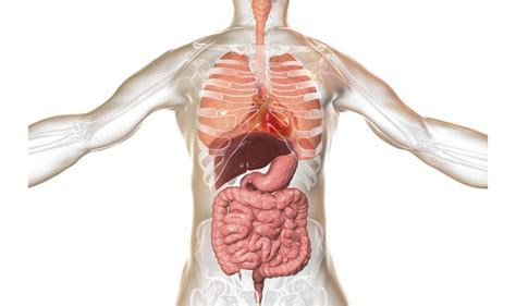 Дискова херния Дископатия Мнение за хапчета линефор За болка в седалищен нерв Facebook