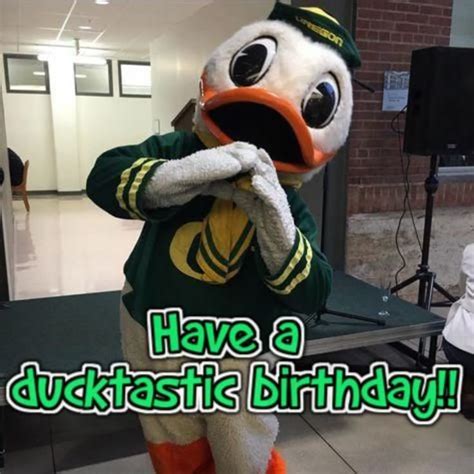 Oregon Duck Birthday Memes