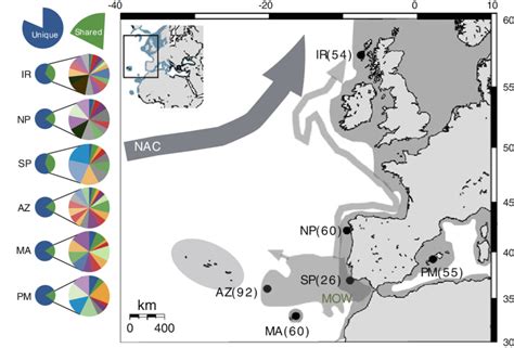 Sampling Locations Sampling Codes And Number Of Individuals In Download Scientific Diagram