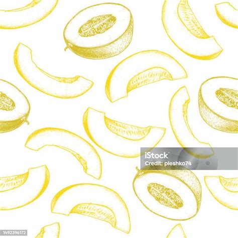 손으로 그린 멜론과 원활한 패턴 노란색 멜론 조각을 스케치합니다 맛있는 열대 과일 여름 배경입니다 벡터 그림입니다 건강한 식생활에 대한 스톡 벡터 아트 및 기타 이미지