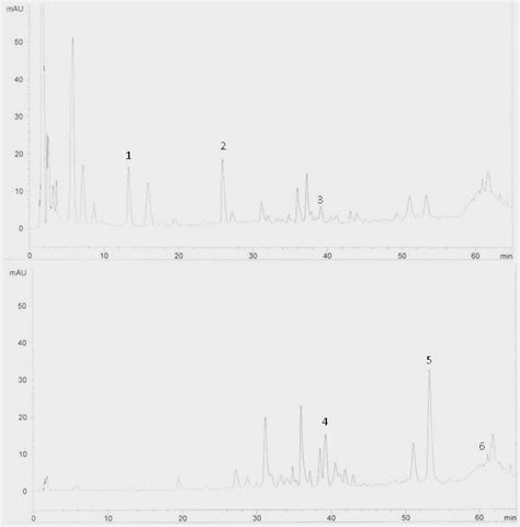 Hplc Chromatogram Of Zingiber Officinale Variety Halia Bara Extracts