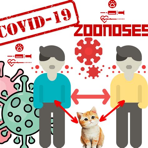 British Government Briefly Considered Ordering All Domestic Cats To Be
