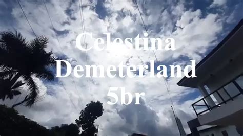 Pauler Ani On Linkedin Celestina Model From Demeterland