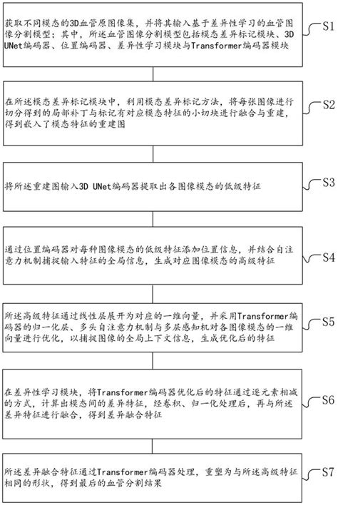 基于差异性学习模型的血管图像分割方法、装置及设备