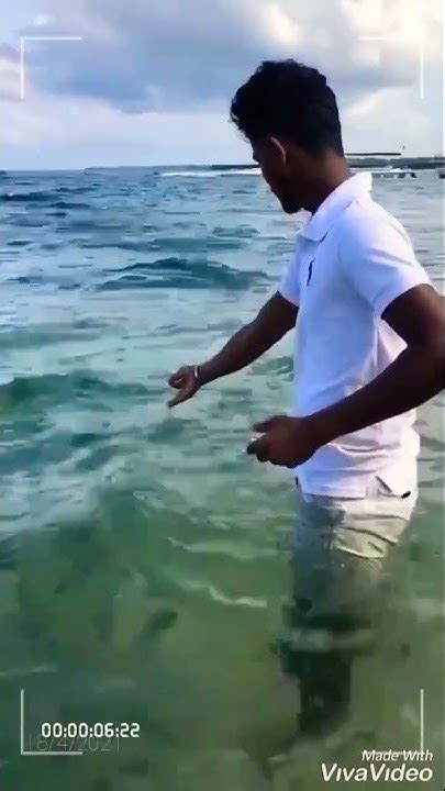 හික්කඩුව මුහුදු තීරය Hikkaduwa Beach 🐟 Youtube