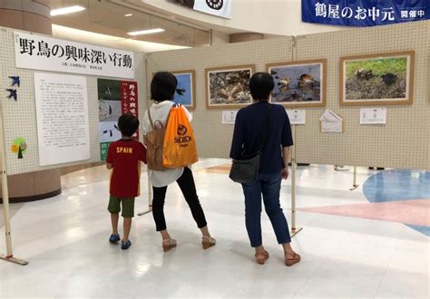 野鳥写真展のブログ記事一覧 花鳥風月気ままな写真日記