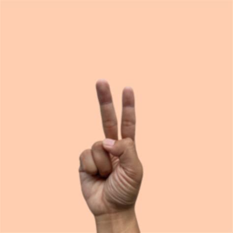 Decoding The Two Finger Rule Understanding Its Role In Beard Grooming