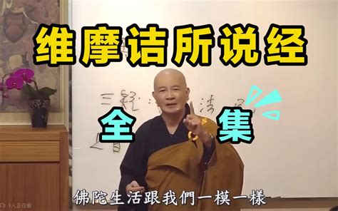 《维摩诘所说经》共63集全集解读 体佛法师 Bilibilib站无水印视频解析——6li6在线工具箱