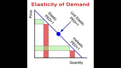 own price elasticity of demand