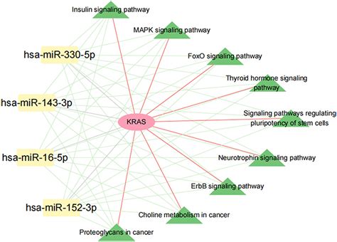 Exploration Of The Shared Gene Signatures In As And Is Ijgm
