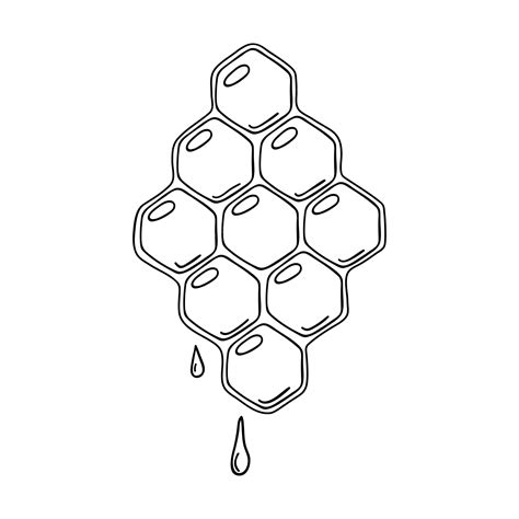 Premium Vector Hand Drawn Honeycomb