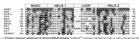 Figure 1 From The Basic Helix Loop Helix Domain Of The Aryl Hydrocarbon