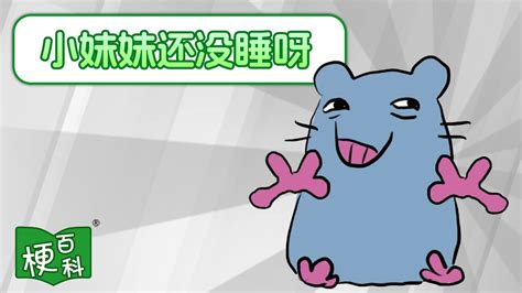 【梗百科】小妹妹还没睡呀是啥梗？ 梗百科 梗百科 哔哩哔哩视频