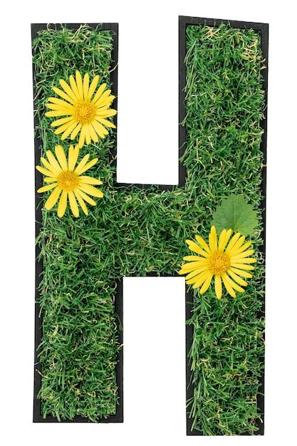 Lettre H faite d herbe verte avec des fleurs isolées sur blanc Photo