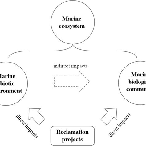 Ecological Assessment Framework In Reclamation Projects Download Scientific Diagram