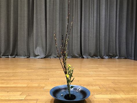 第17回池坊研究会赤芽柳と小菊の生花2種生