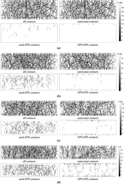 Normal Contact Force Network At A Normal Stress Of 200 Kpa Depsd50