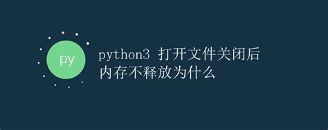 Python3 打开文件关闭后，内存不释放的原因极客笔记