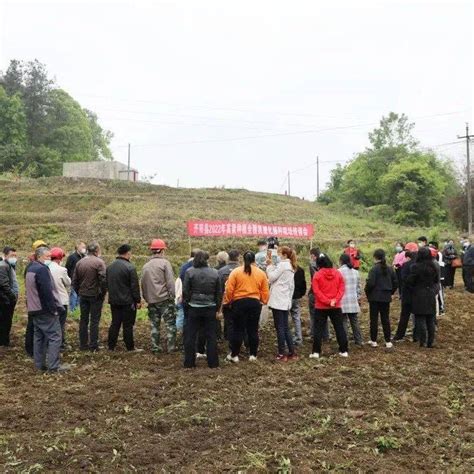 最浓春意在田间！开农机、种秧苗，记者带你“沉浸式”体验开阳春耕→种植温镇双合村