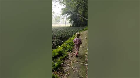 👀কি সুন্দর জায়গাটা তোমাদের কি রকম লাগলো কমেন্ট করে নিশ্চয়ই জানাবেন