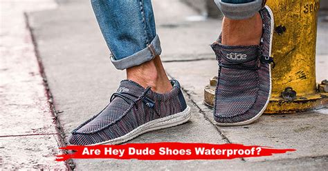 Are Hey Dude Shoes Waterproof Footwear Sense