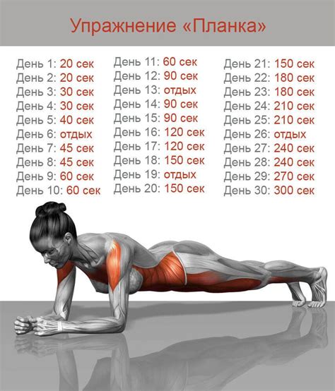 Разное | Ejercicios abdominales, Ejercicios, Rutinas de ejercicio abdomen